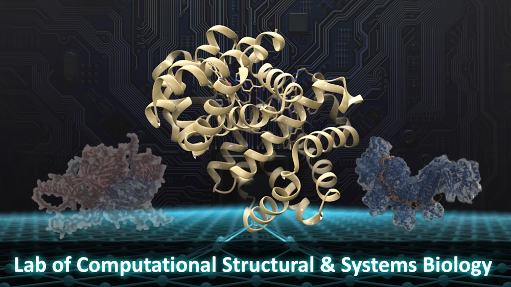 계산구조 및 시스템생물학 연구실 Biological Sciences Snu