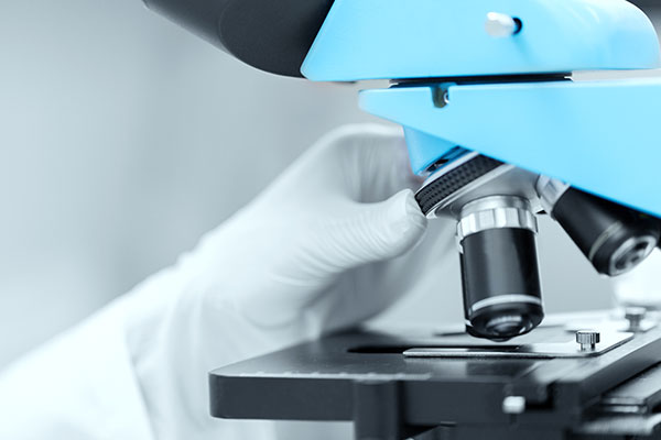 Current Members - Members - Lim`s FEP - BIOLOGICAL SCIENCES, SNU