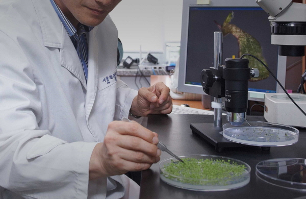 Current Faculty - Faculty Members - BIOLOGICAL SCIENCES, SNU